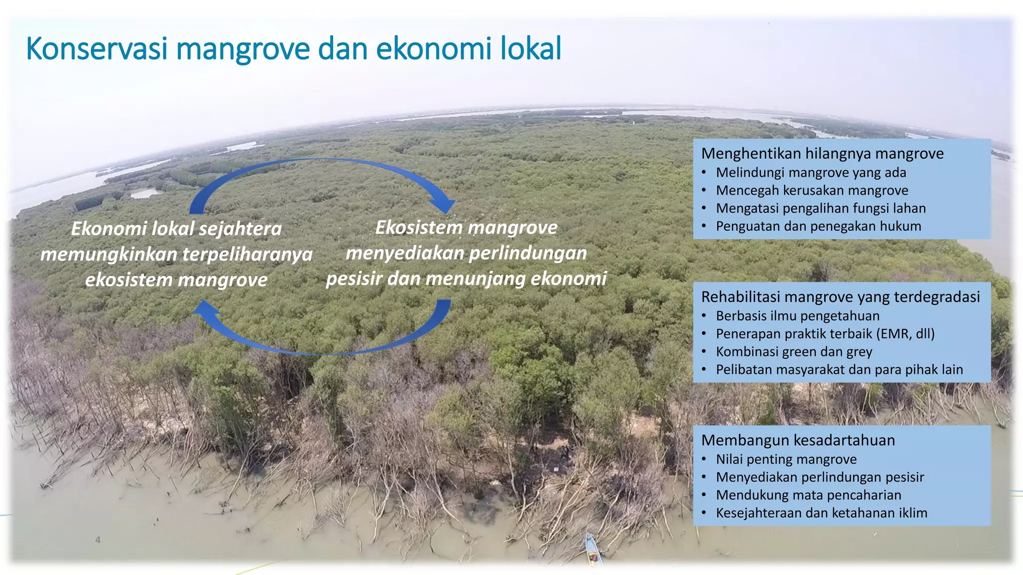 Mangrove dan Adaptasi Perubahan Iklim di Kawasan Pesisir (Mangroves and ...