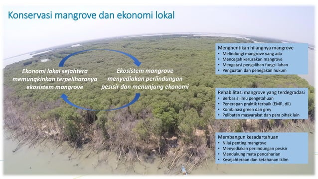 Mangrove dan Adaptasi Perubahan Iklim di Kawasan Pesisir (Mangroves and ...