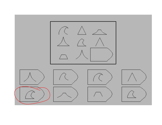 APro-Exam-NSA-Reviewer.docx