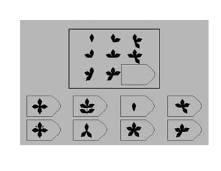 APro-Exam-NSA-Reviewer.docx