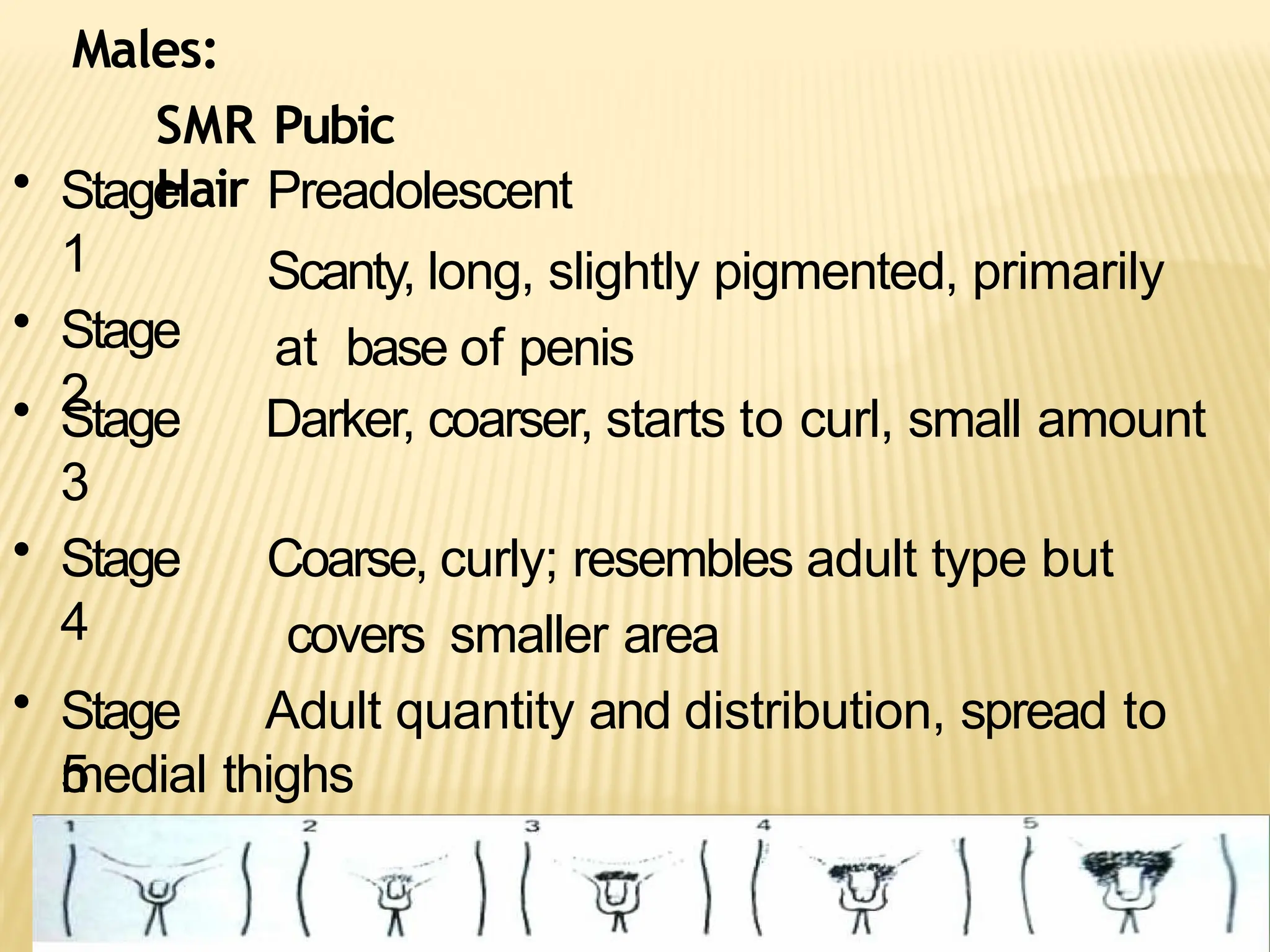 An aproach to a short stature patient ppt | PPTX