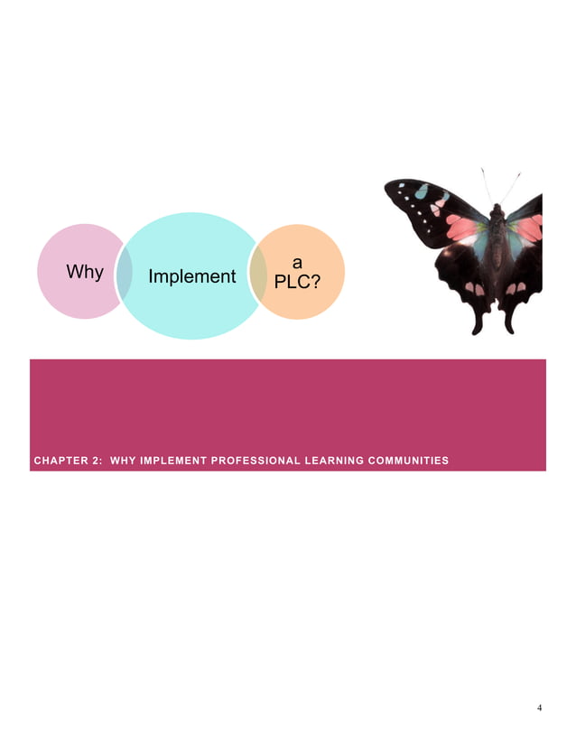 District PLC Handbook | PDF