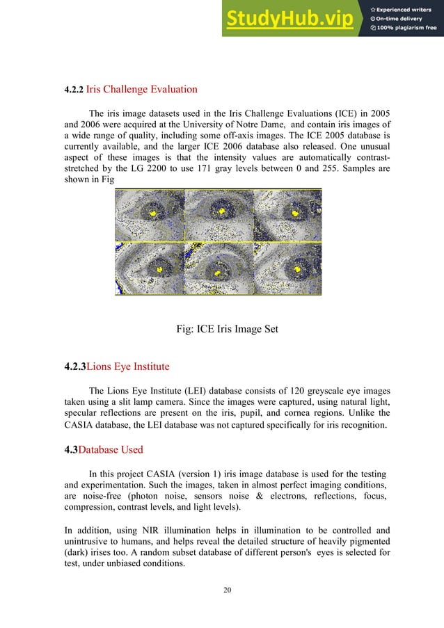 A Project Report On Iris Recognition System Using Matlab Pdf