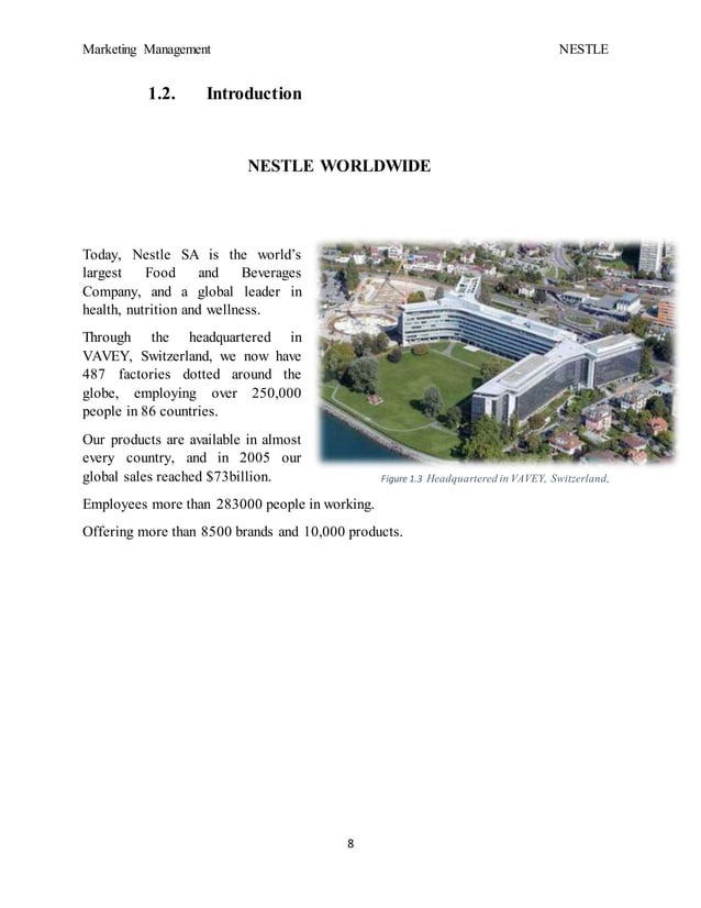 A project report on nestle | DOCX