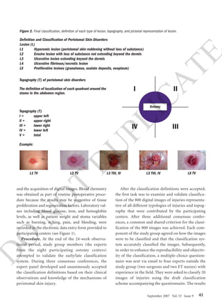 A proposal for classifying peristomal skin disorders: results of a ...