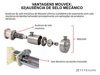 Comparativo Bomba de Disco Excêntrico Mouvex X Bomba Helicoidal Netzsch ...
