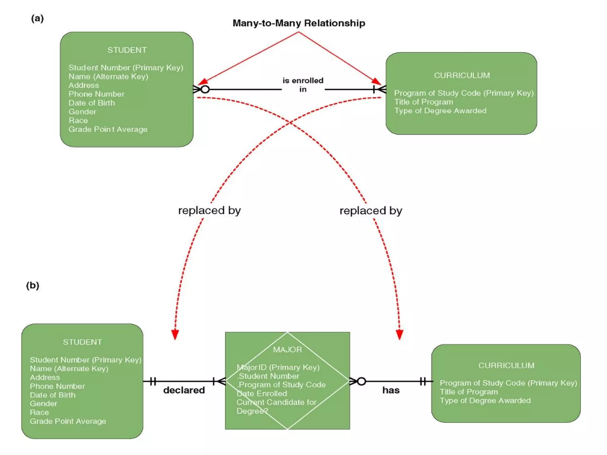 Aps07 design erd_normalization | PPT