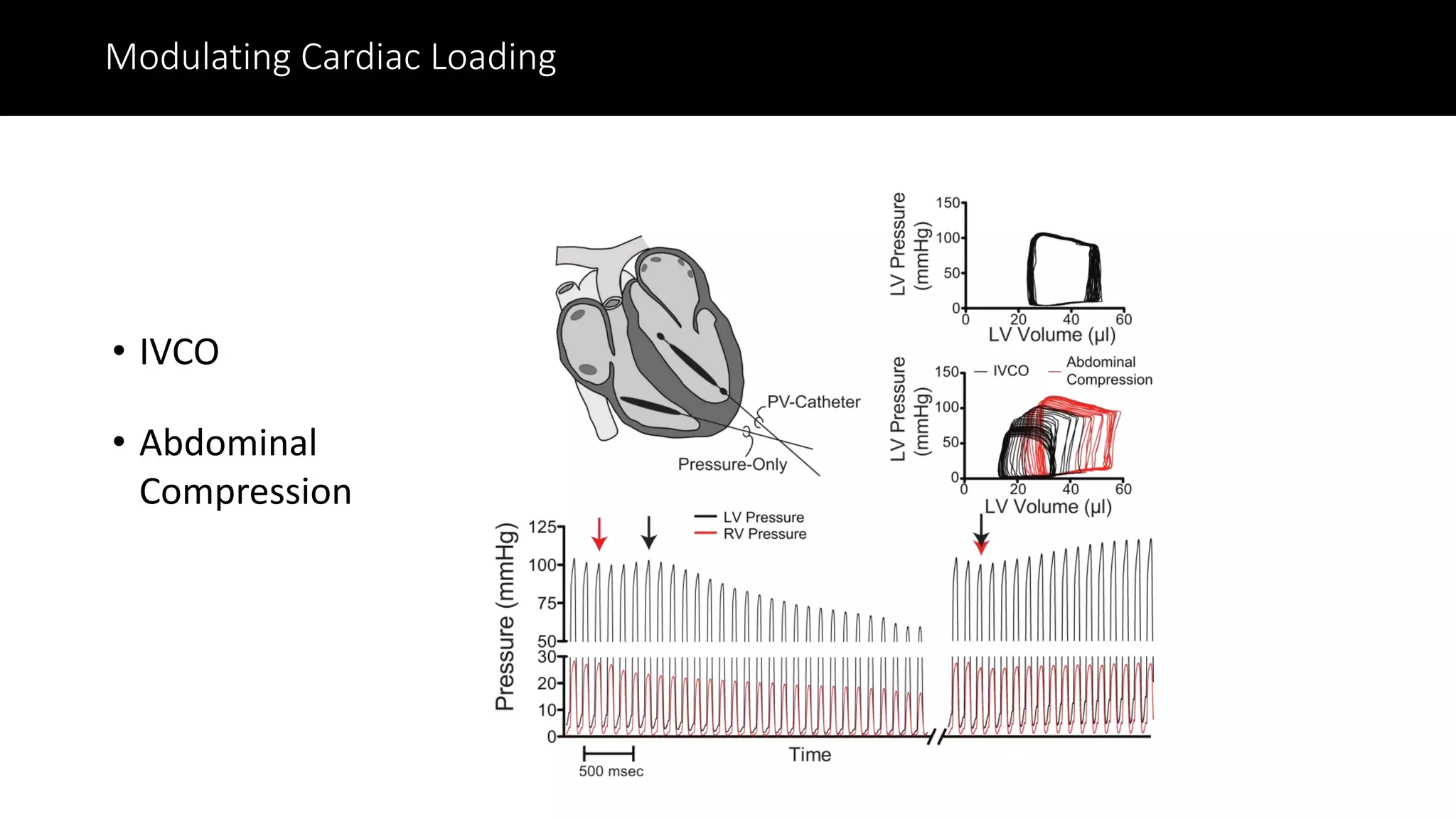 Cardiac PV Loop Data Analysis: Tips & Tricks | PPTX