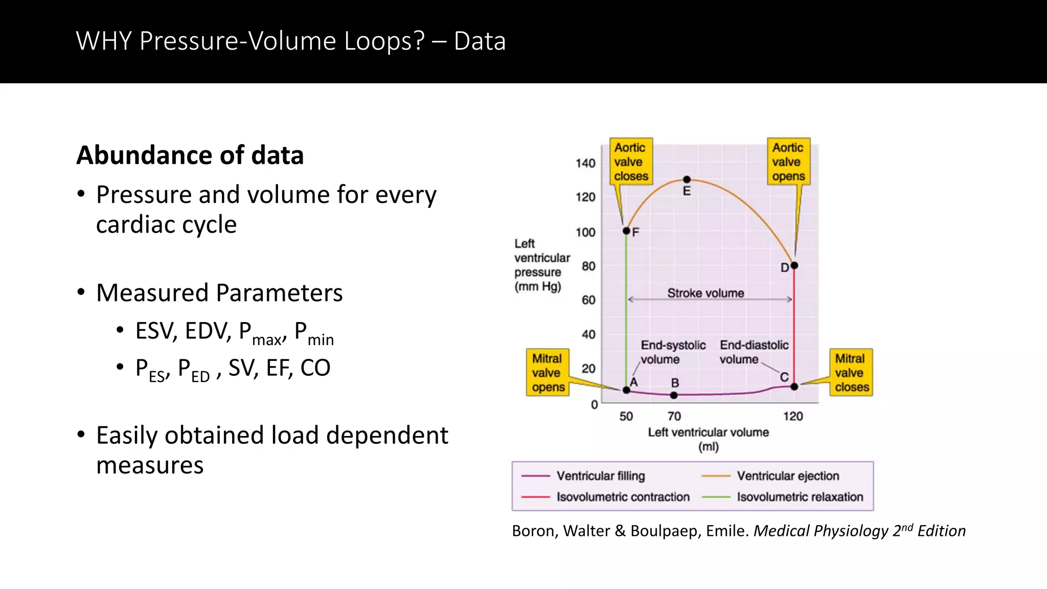 Cardiac PV Loop Data Analysis: Tips & Tricks | PPTX
