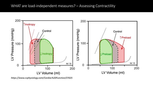Cardiac PV Loop Data Analysis: Tips & Tricks | PPTX | Heart and ...