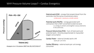 Cardiac PV Loop Data Analysis: Tips & Tricks | PPTX | Heart and ...