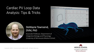 Cardiac PV Loop Data Analysis: Tips & Tricks | PPTX