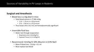 Cardiac PV Loop Data Analysis: Tips & Tricks | PPTX