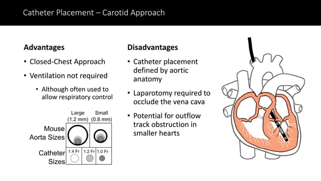 Cardiac PV Loop Data Analysis: Tips & Tricks | PPTX | Heart and ...
