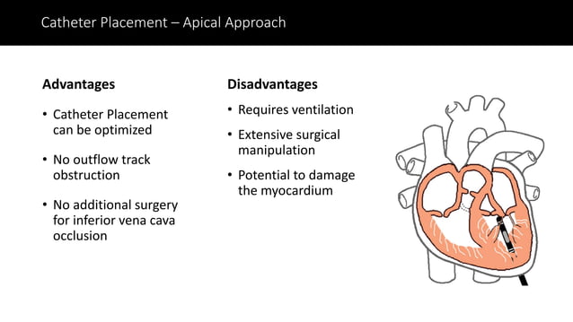 Cardiac PV Loop Data Analysis: Tips & Tricks | PPTX | Heart and ...