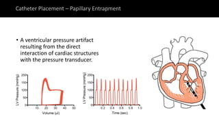 Cardiac PV Loop Data Analysis: Tips & Tricks | PPTX | Heart and ...