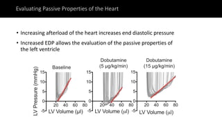Cardiac PV Loop Data Analysis: Tips & Tricks | PPTX