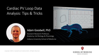 Cardiac PV Loop Data Analysis: Tips & Tricks | PPTX