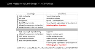 Cardiac PV Loop Data Analysis: Tips & Tricks | PPTX