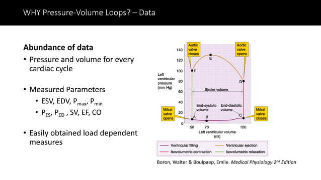 Cardiac PV Loop Data Analysis: Tips & Tricks | PPTX | Heart and ...