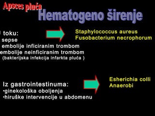 Apsces pluca | PPT