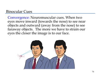 Binocular Cues Convergence