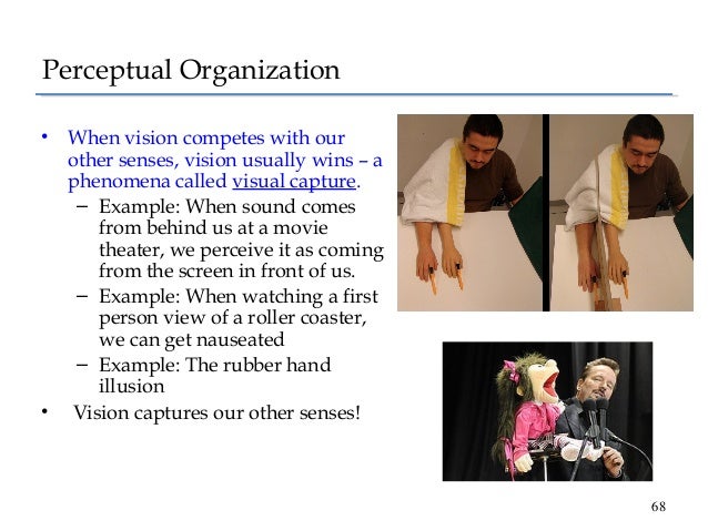 AP sensation perception