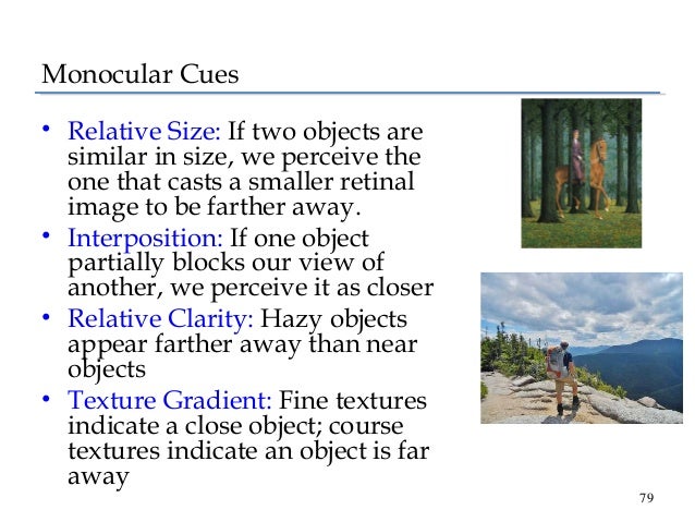 Relative Height Psychology Example