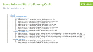 AP Setup Using Oxalis | PDF