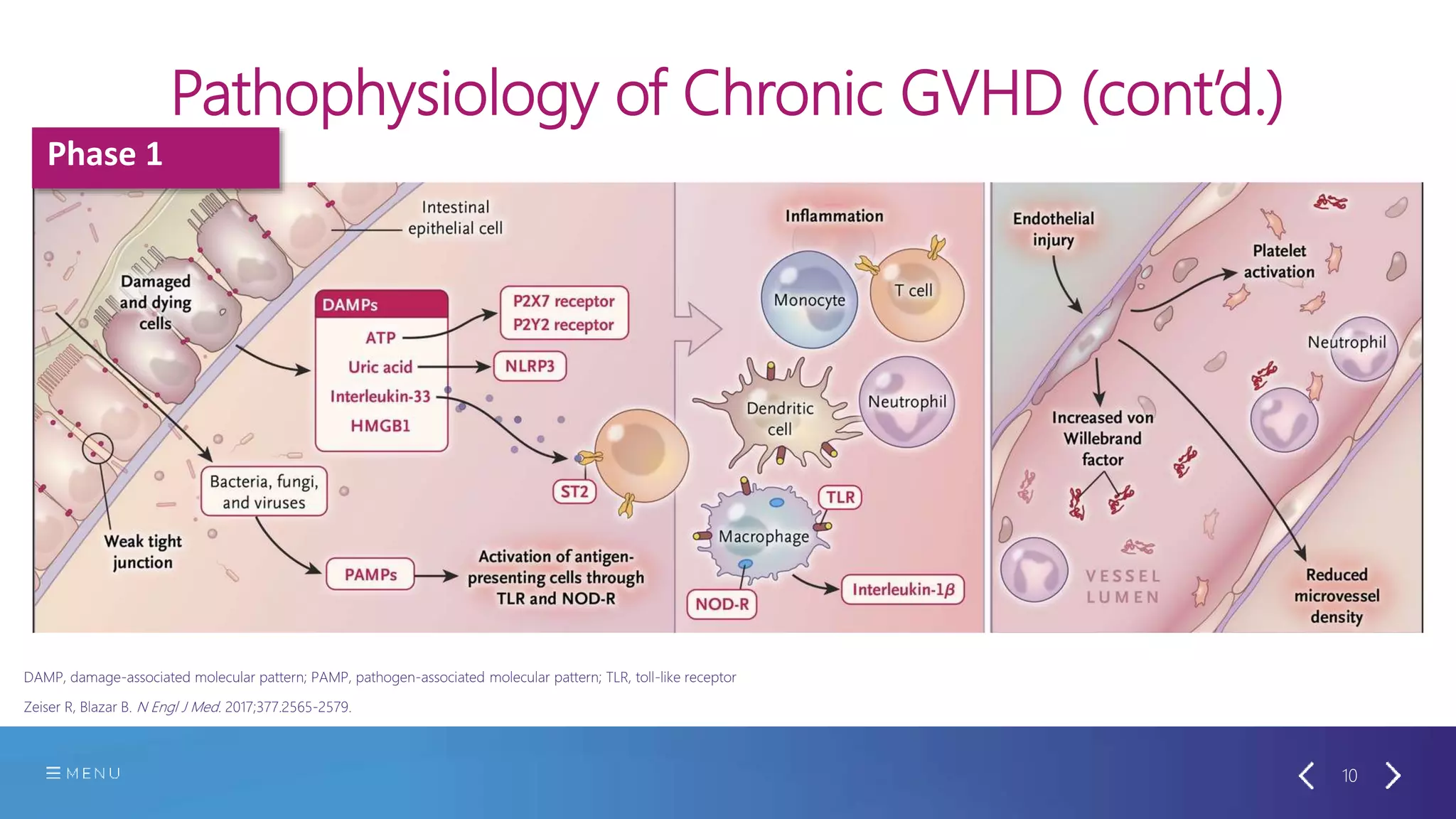 Understanding Chronic Graft-vs.-Host Disease | PPTX