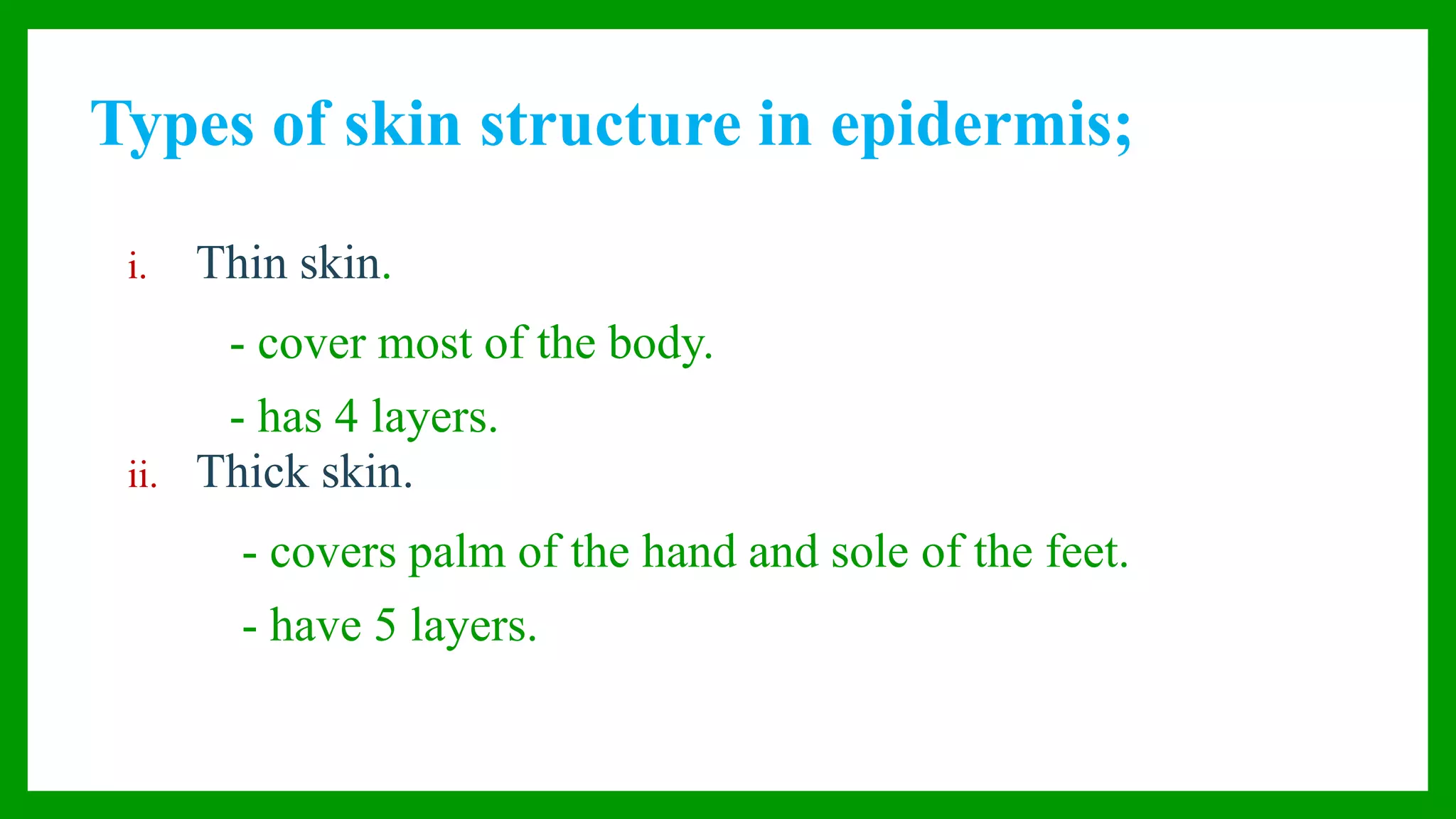 ANATOMY AND PHYSIOLOGY OF SKIN | PPTX