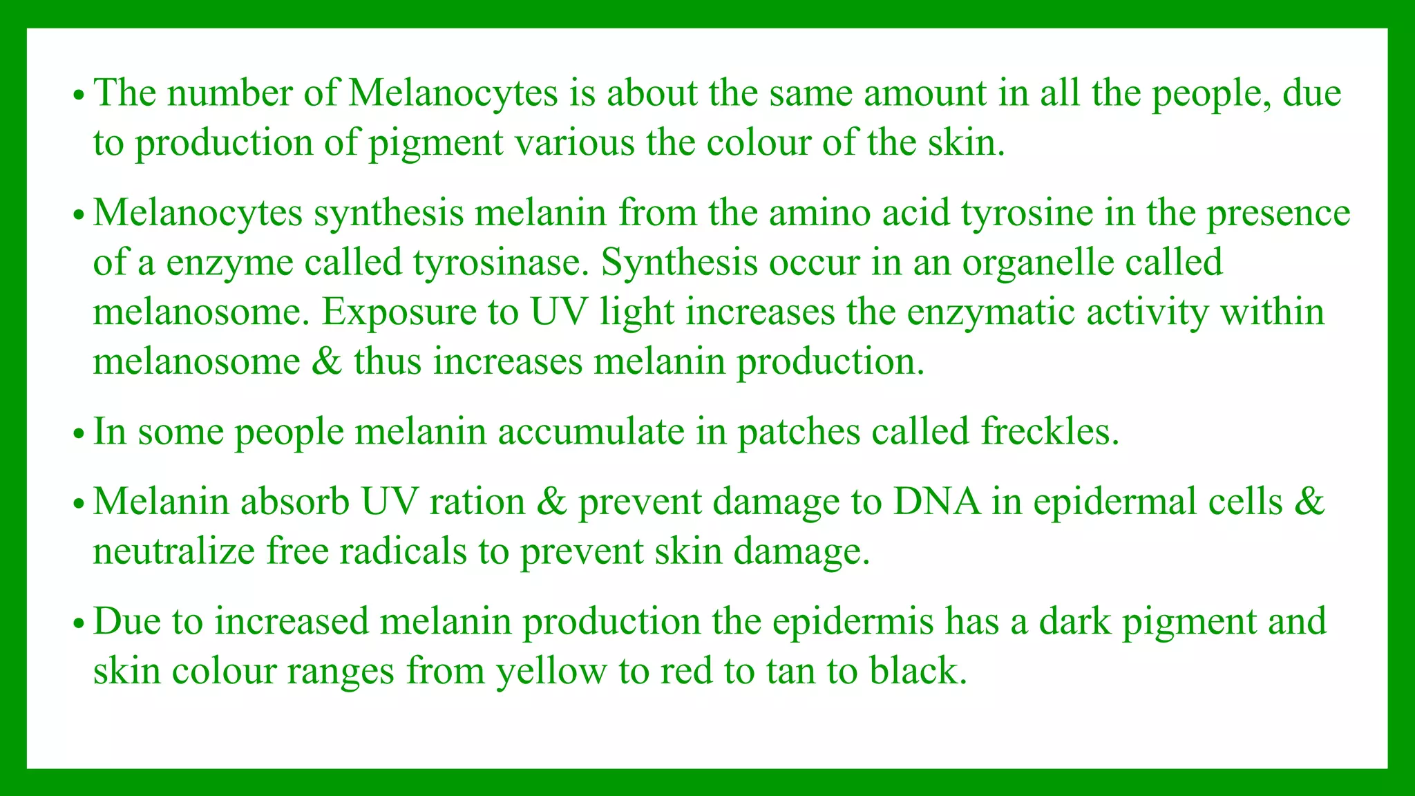 ANATOMY AND PHYSIOLOGY OF SKIN | PPTX