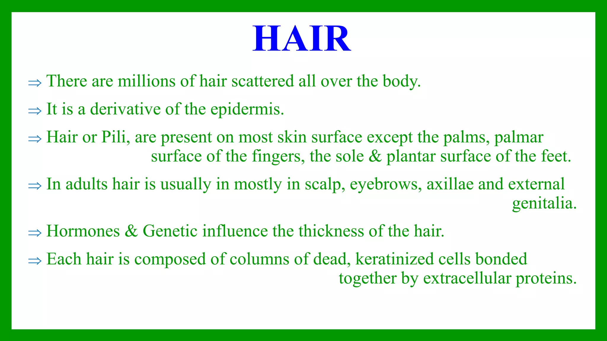 ANATOMY AND PHYSIOLOGY OF SKIN | PPTX