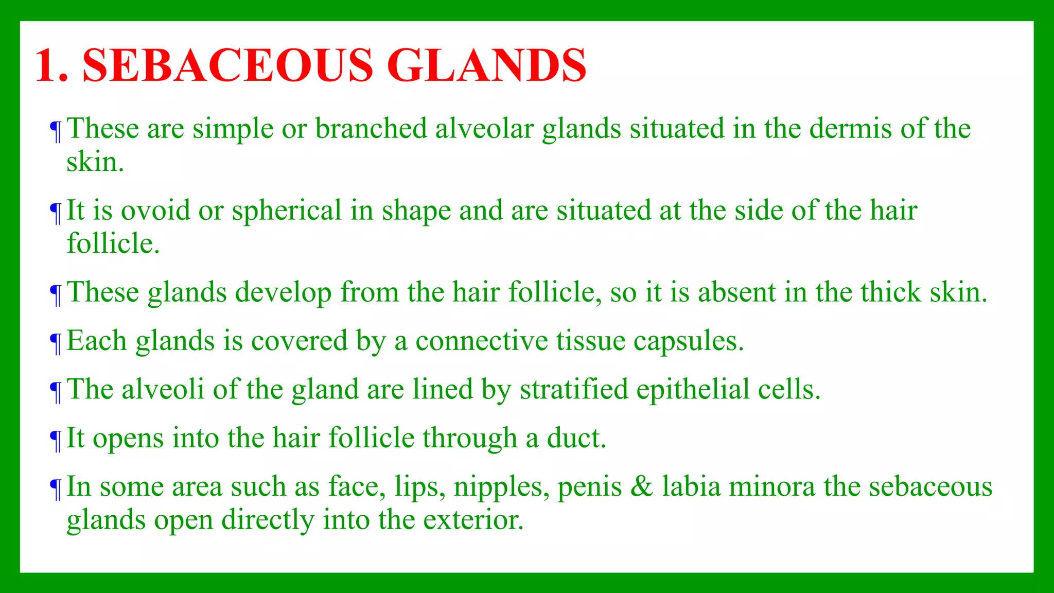 ANATOMY AND PHYSIOLOGY OF SKIN | PPTX
