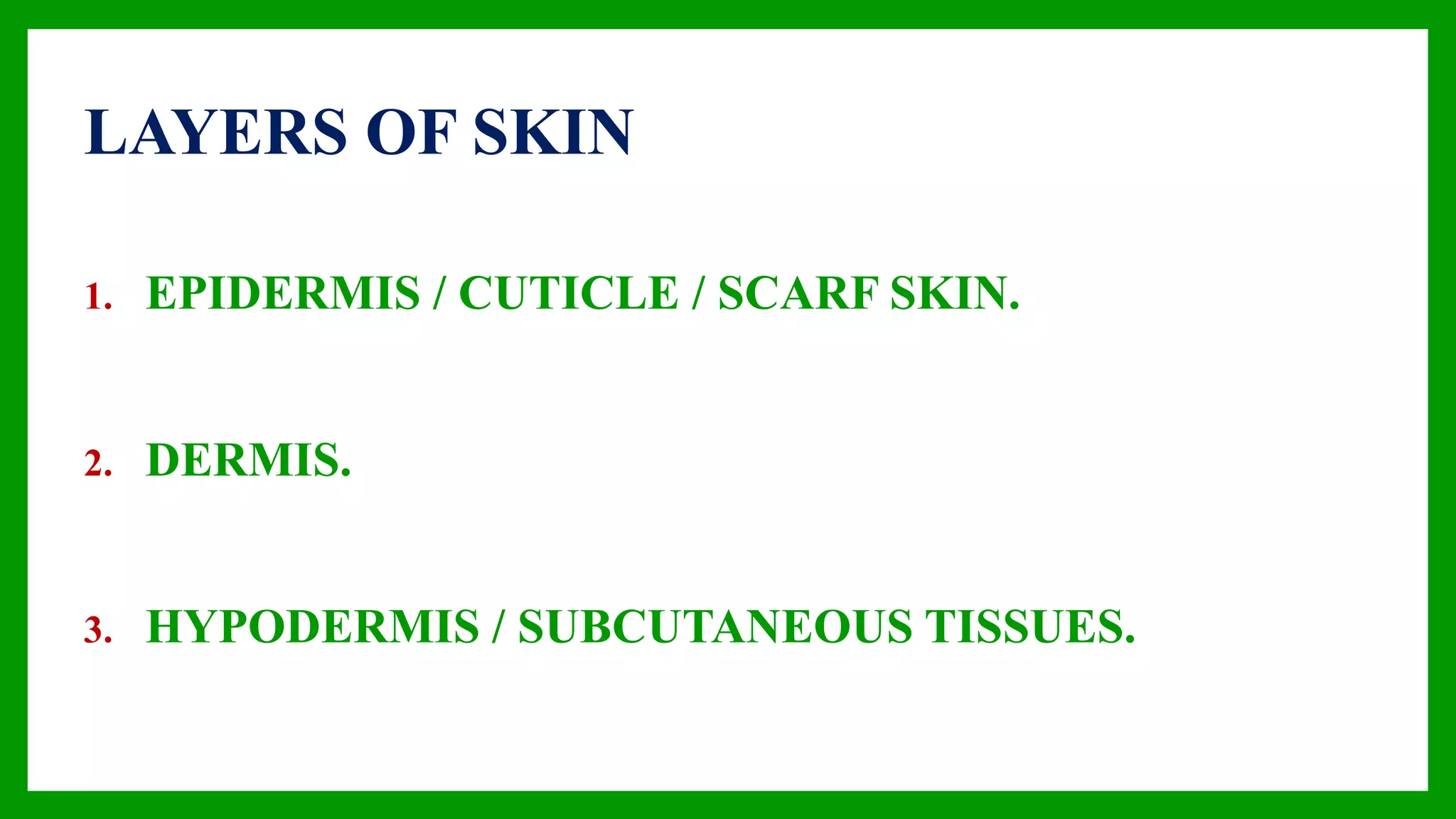 ANATOMY AND PHYSIOLOGY OF SKIN | PPTX