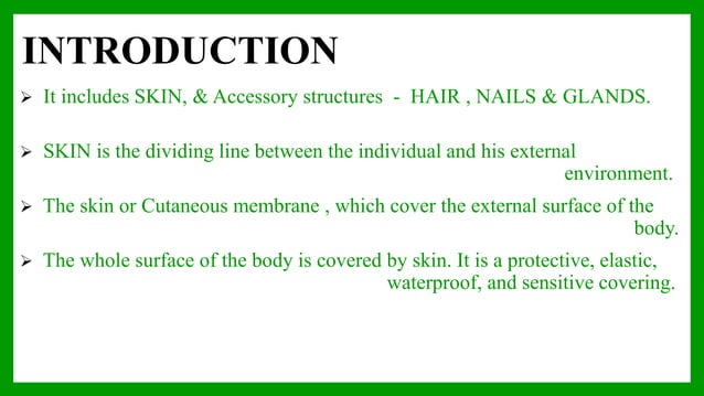 ANATOMY AND PHYSIOLOGY OF SKIN | PPTX | Skin and Dermatology | Diseases ...