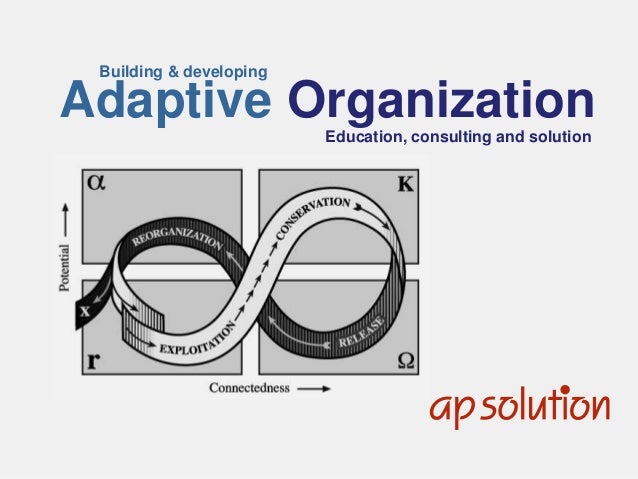 AP SOLUTION - "Building of Adaptive Organization"
