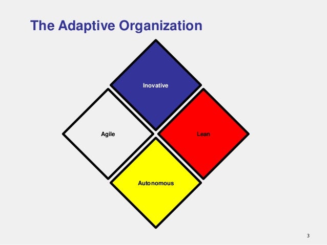 AP SOLUTION - "Building of Adaptive Organization"
