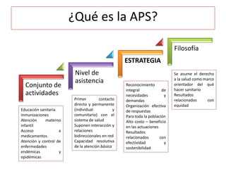 Que son las APS, definiciones y concepctos | PDF