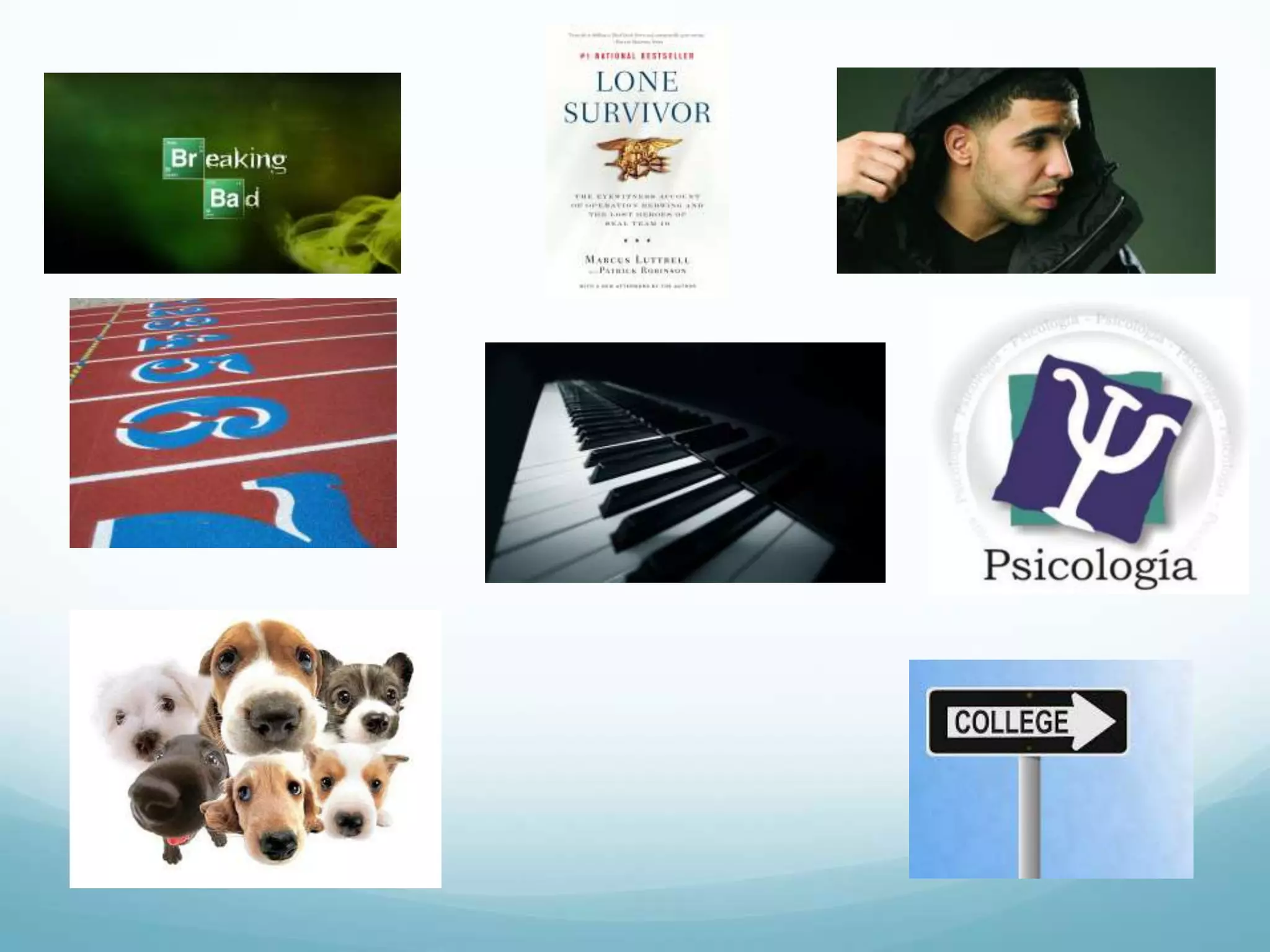 Ap Spanish project | PPTX