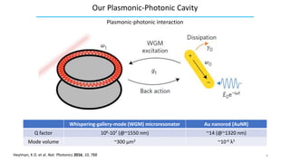 Revealing plasmonic-photonic interaction via single-particle ...