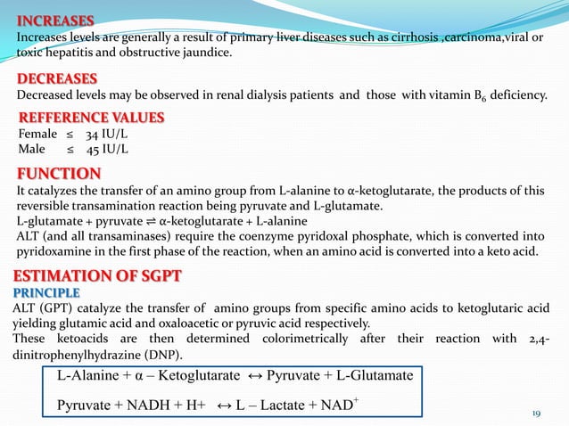 Estimation of various biochemical parameter in serum | PPTX