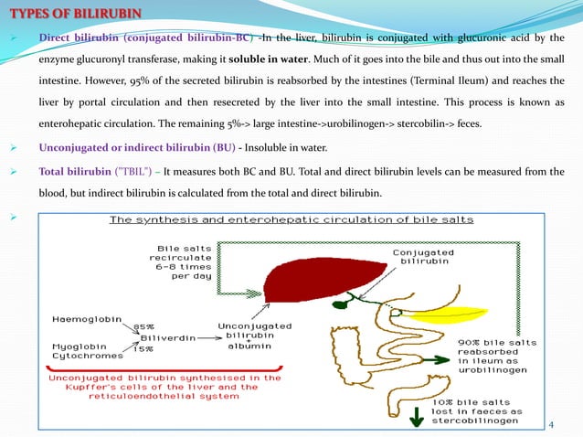 Estimation of various biochemical parameter in serum | PPTX