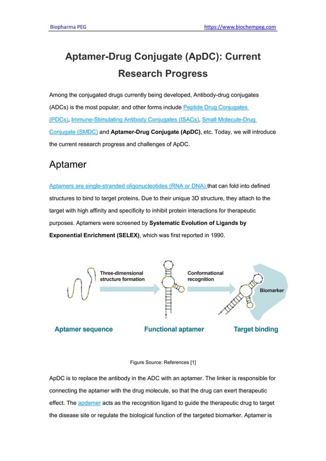 Aptamer-Drug Conjugate (ApDC) Current Research Progress.pdf