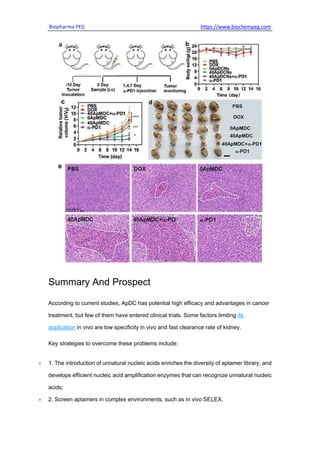 Aptamer-Drug Conjugate (ApDC) Current Research Progress.pdf