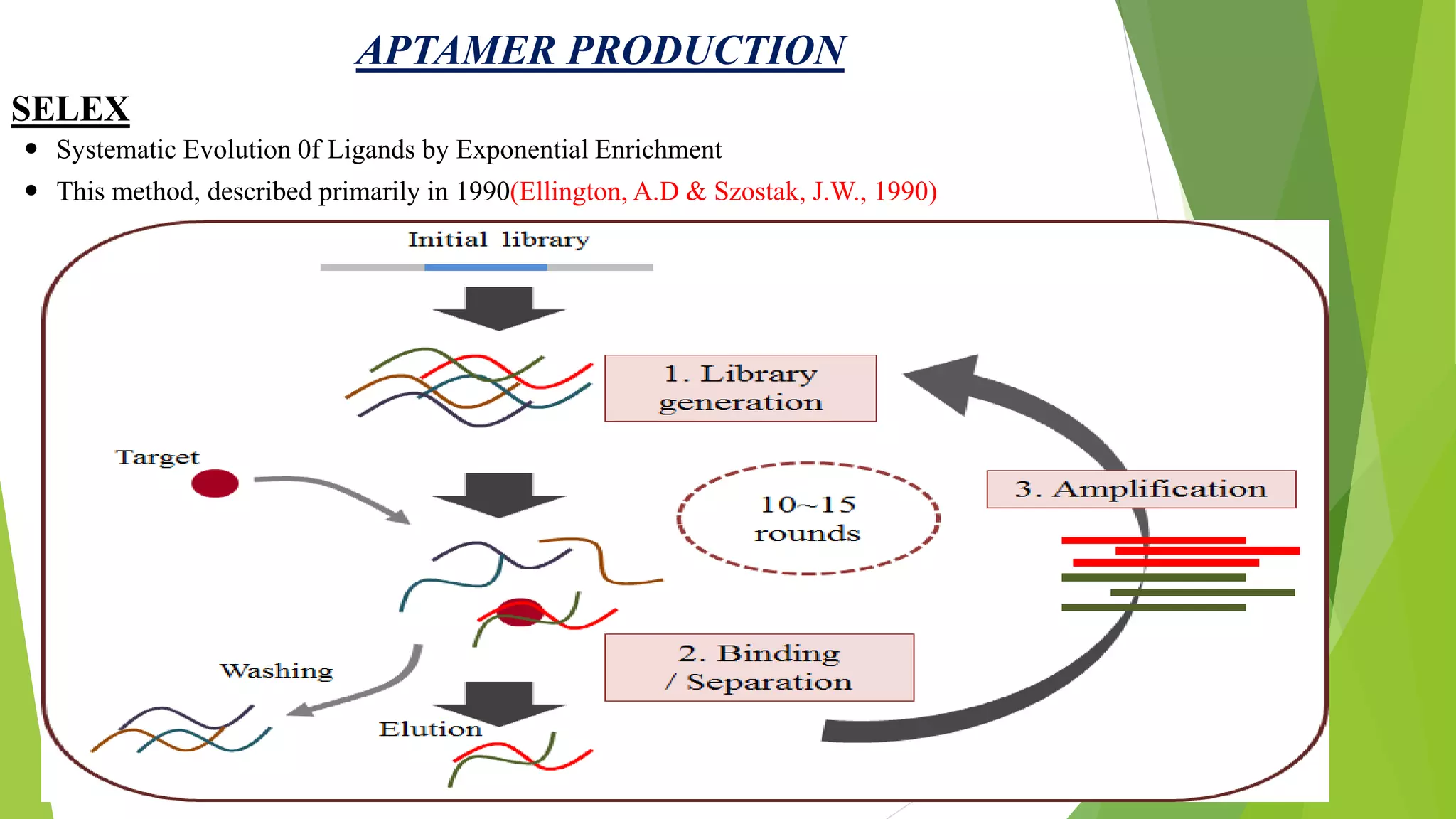 Aptamer and its applications | PPTX
