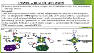 Aptamer and its applications | PPTX