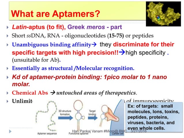 Aptamer Hari pankaj vanam aptamer a plethora of opportunities | PPT