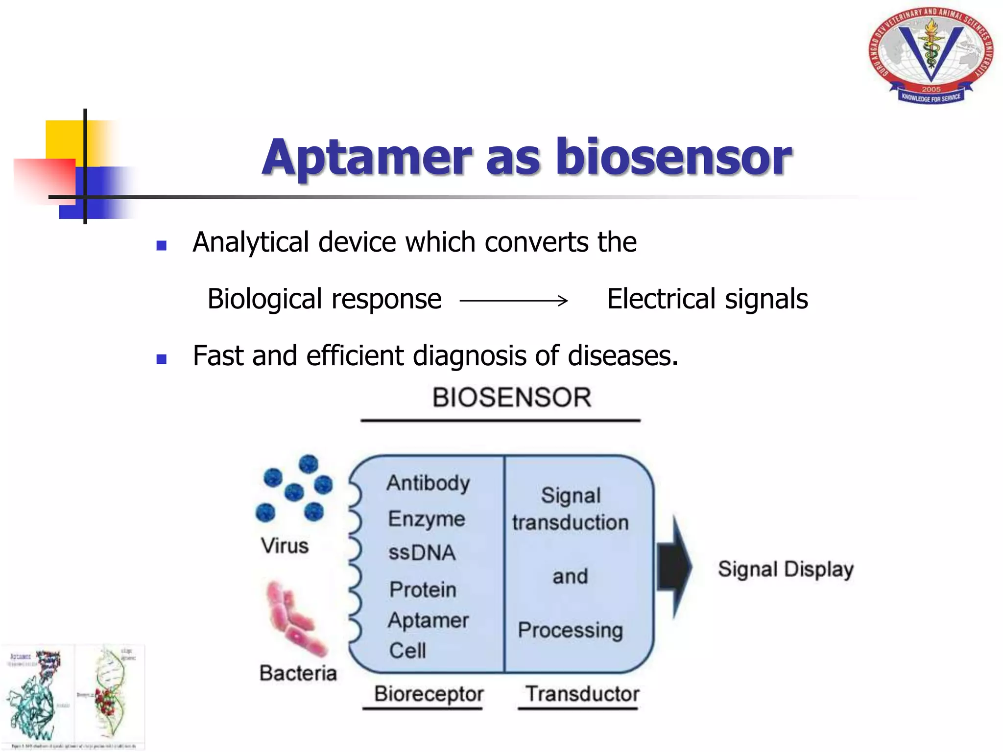Aptamers | PPT