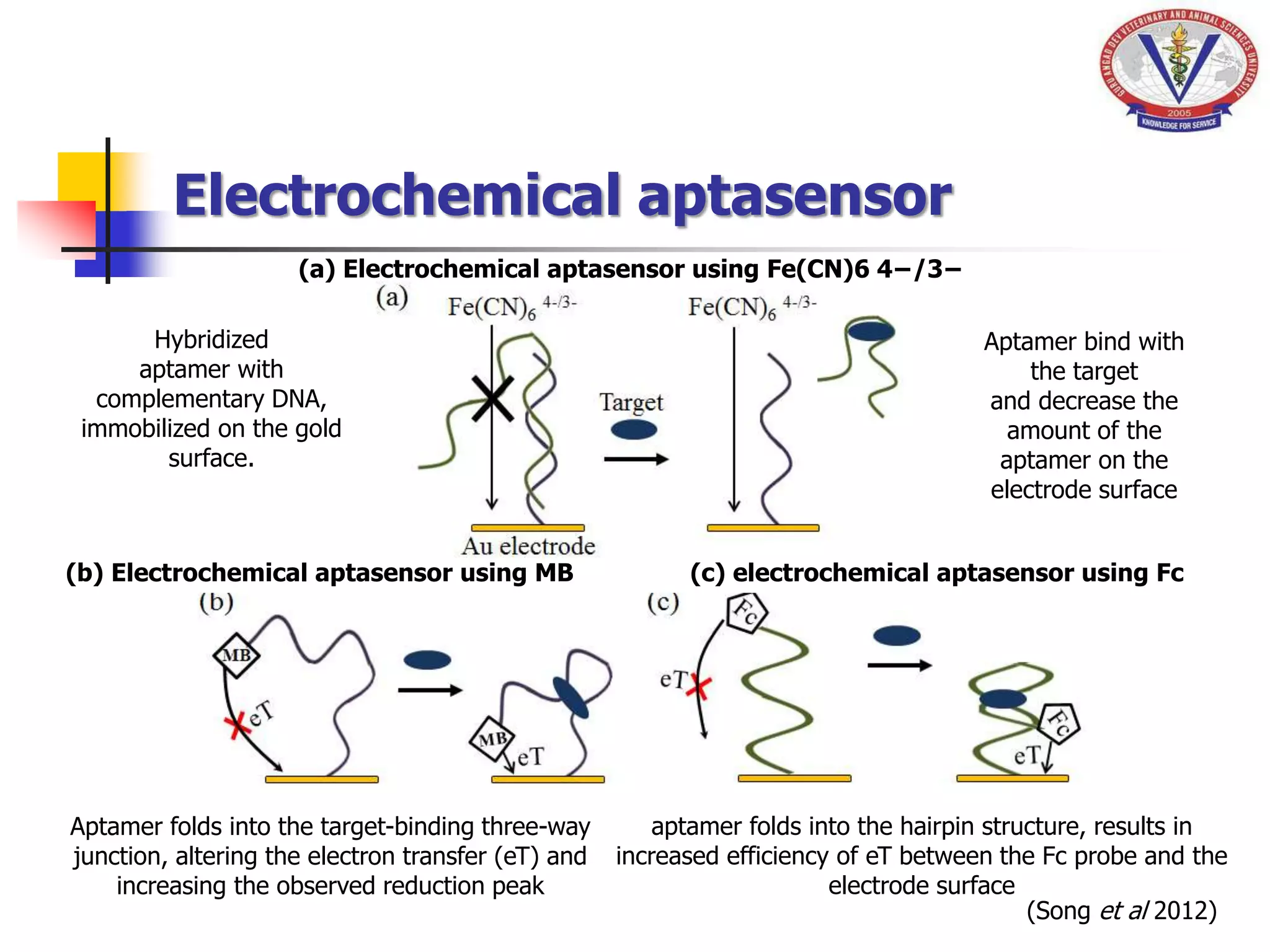Aptamers | PPT
